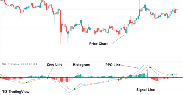 The Percentage Price Oscillator (PPO) Explained: A Step-by-Step Guide ...