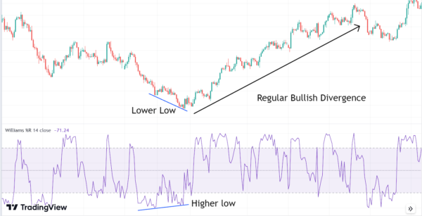 Williams %R (Williams Percent Range) Indicator Explained: A Step-by ...