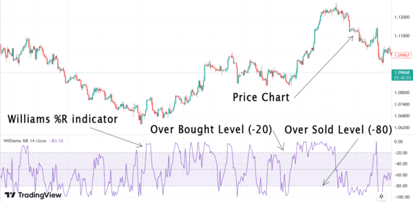 Williams %R (Williams Percent Range) Indicator Explained: A Step-by ...