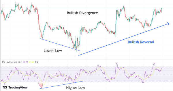 Relative Strength Index / RSI Indicator Explained: A Step-by-Step Guide ...